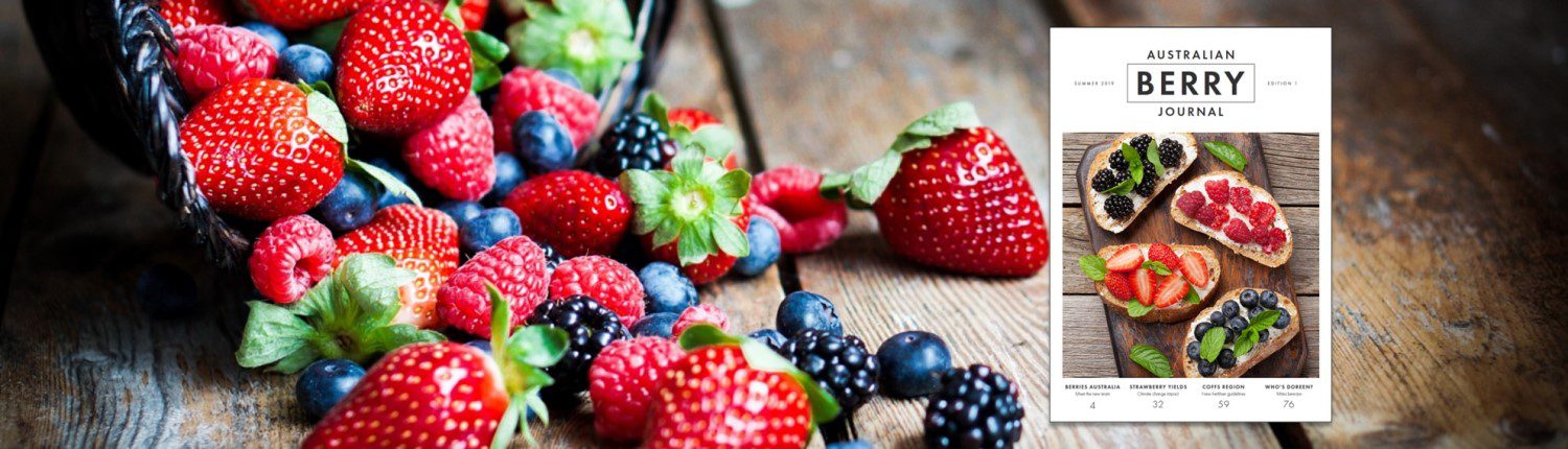 Berries Australia – Welcome to Berries Australia – the body ...