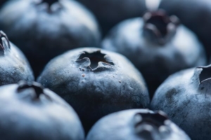 Varieties – Berries Australia