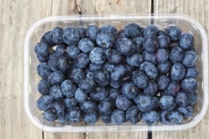 Blueberries – Berries Australia
