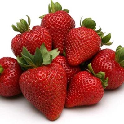 Varieties – Berries Australia