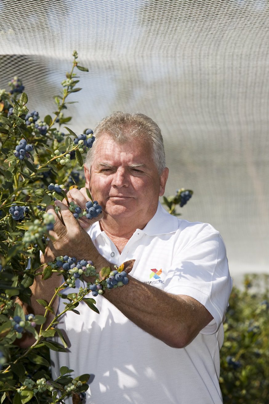 Berry industry pulling together in new North Coast working group ...