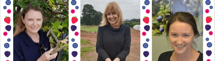 Berries Australia – Welcome to Berries Australia – the body ...