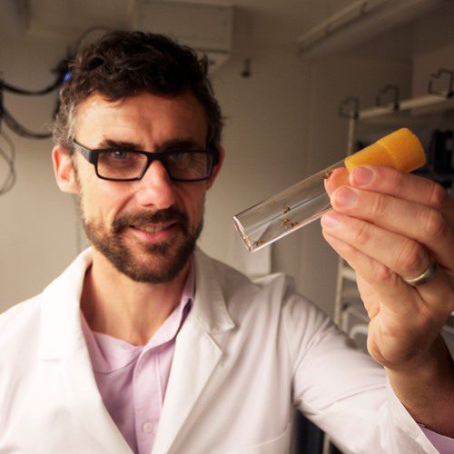 Paul Cunningham – Berries Australia