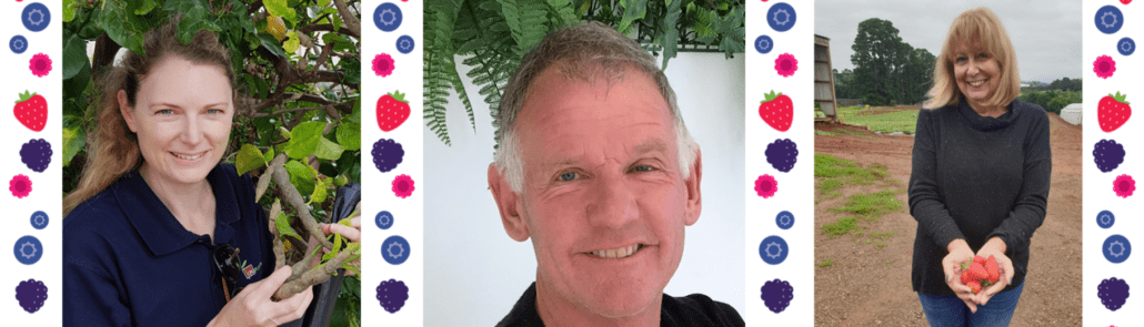 Berries Australia – Welcome to Berries Australia – the body ...