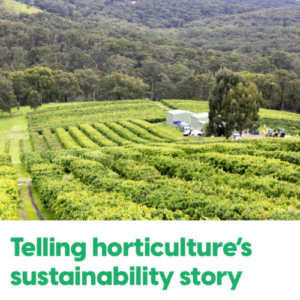 Berries Australia – Welcome to Berries Australia – the body ...