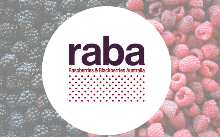 Berries Australia – Welcome to Berries Australia – the body ...
