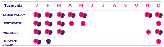 RUB-Map-Table-2024 – Berries Australia