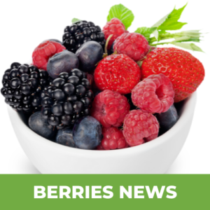 Chlorpyrifos uses – a summary of assessment outcomes in the final ...