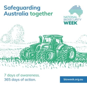 Rubus berries – Berries Australia